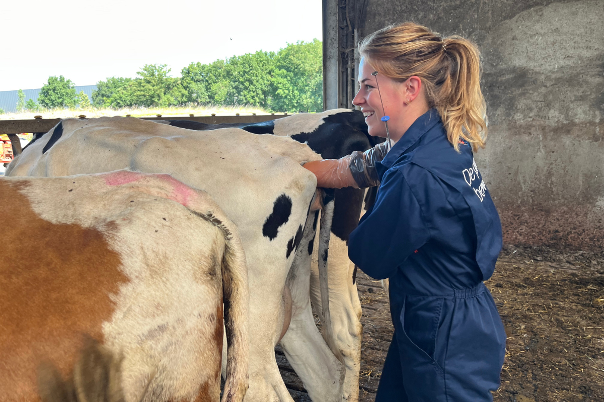 Vacature Inseminator Rundvee – Regio Noord-Brabant/Limburg